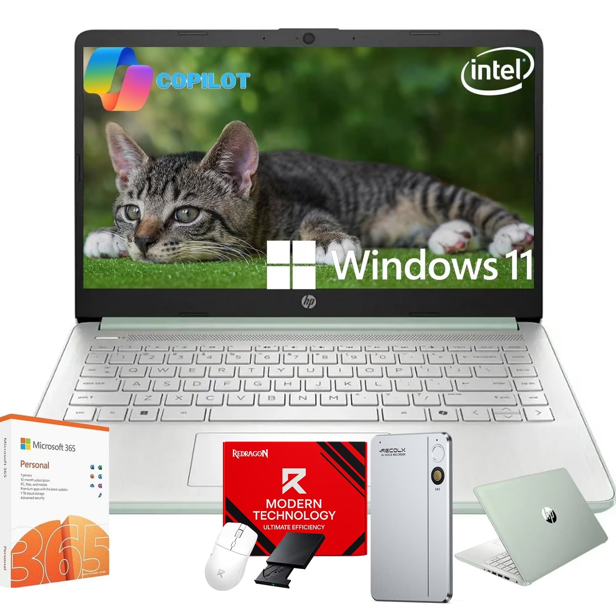 HP Student Business Laptop, Intel Processor N150 CPU, 14 Inch LED ...