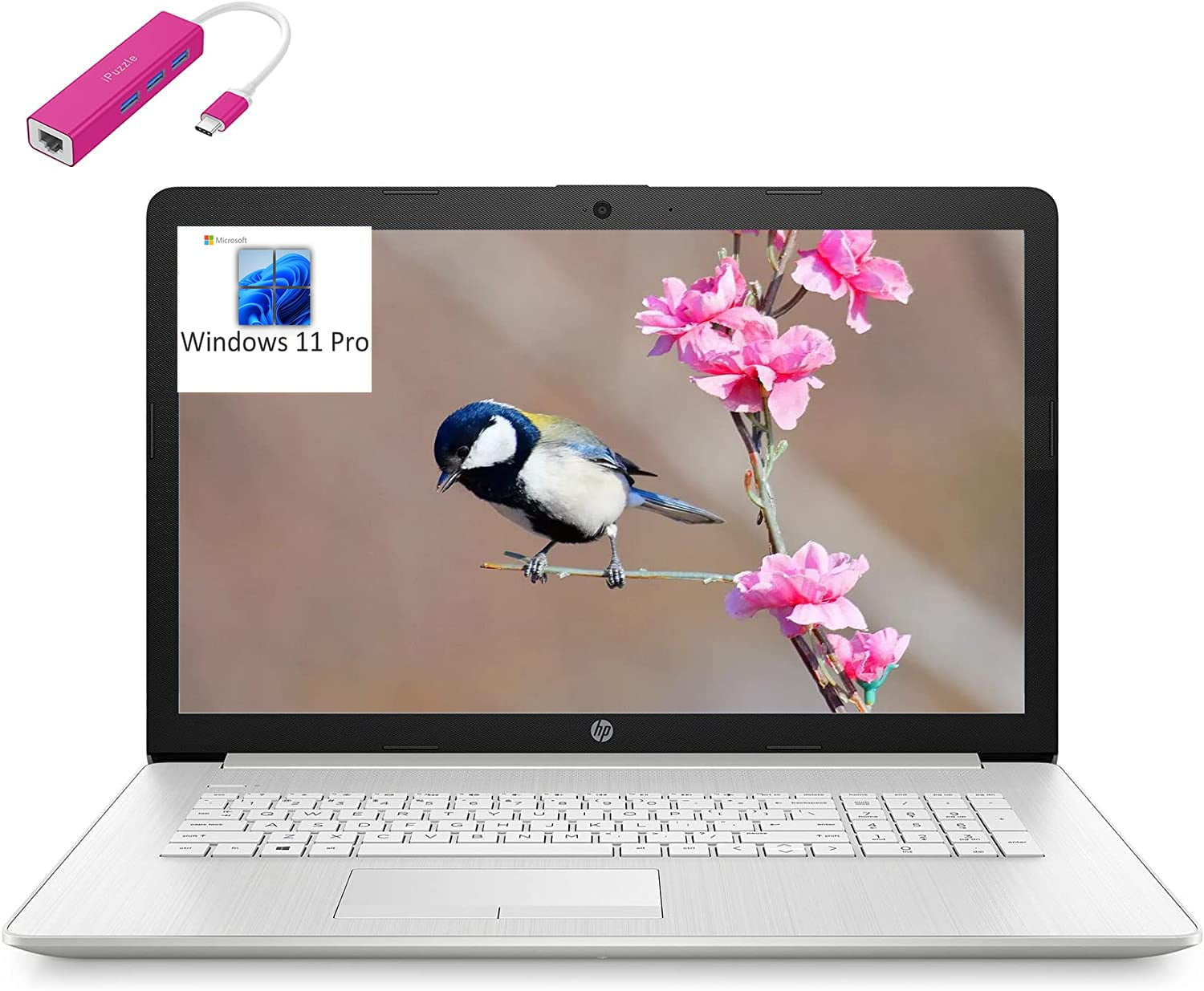 HP [Windows 11 Pro] 2022 17 Business Laptop, 17.3" FHD Anti-Glare 300 ...