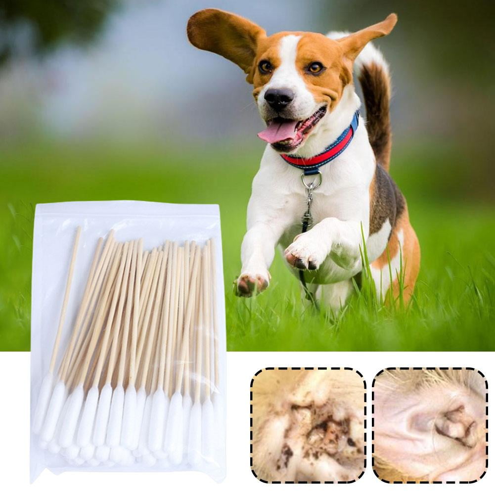 Clerance! 50100 Dog Ear Cotton Buds 12cm Long Extra Large Pet Cleaning ...