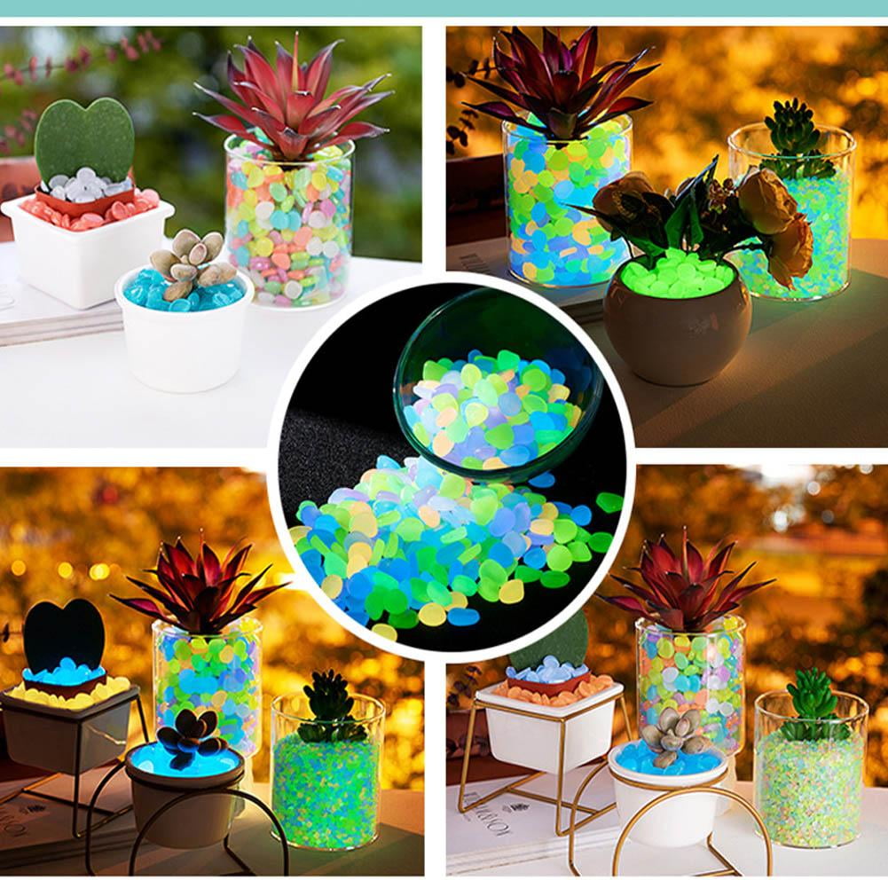 HPDL 50Pcs Glow in the Dark Garden Pebbles For Garden Terrace Fish Tank ...