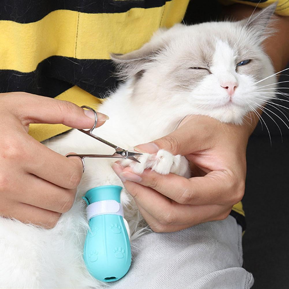 Clerance! Cat AntiScratch Shoes 4 Pack Pet Supplies Cat Scratch ...