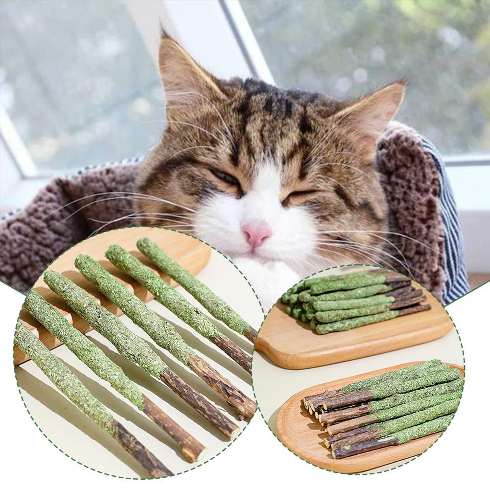 HPDL Cat Grass Teething Stick for Cat Natural Dried Cat Grass Treats ...
