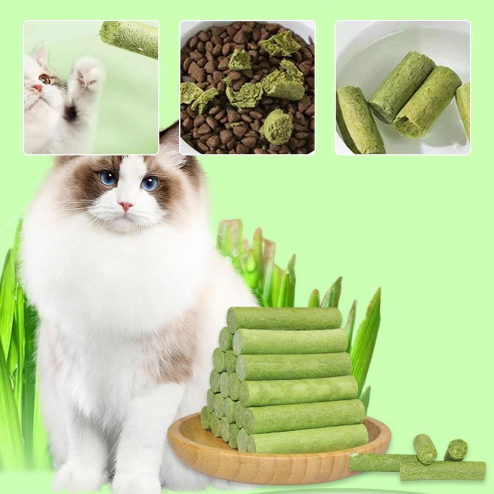 HPDL Ovvkultoc Cat Grass Teething Stick Chew Sticks for Cats Kittens ...