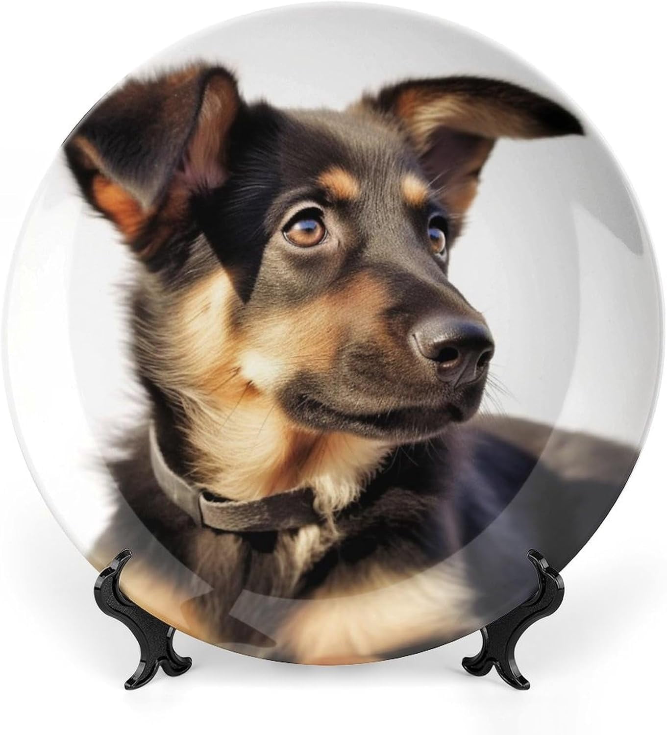 HPINK-T Decorative Plate for Wall Hanging Dog Bone China Decorative ...