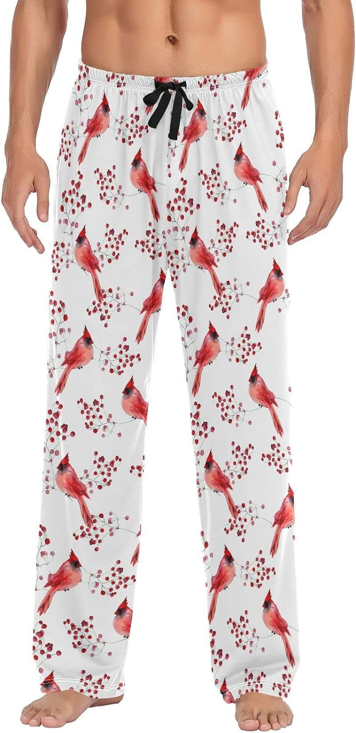 HPINK-T Multi- Bird Men's Pajama Pants Cartoon Dinosaur Pjs Bottoms ...