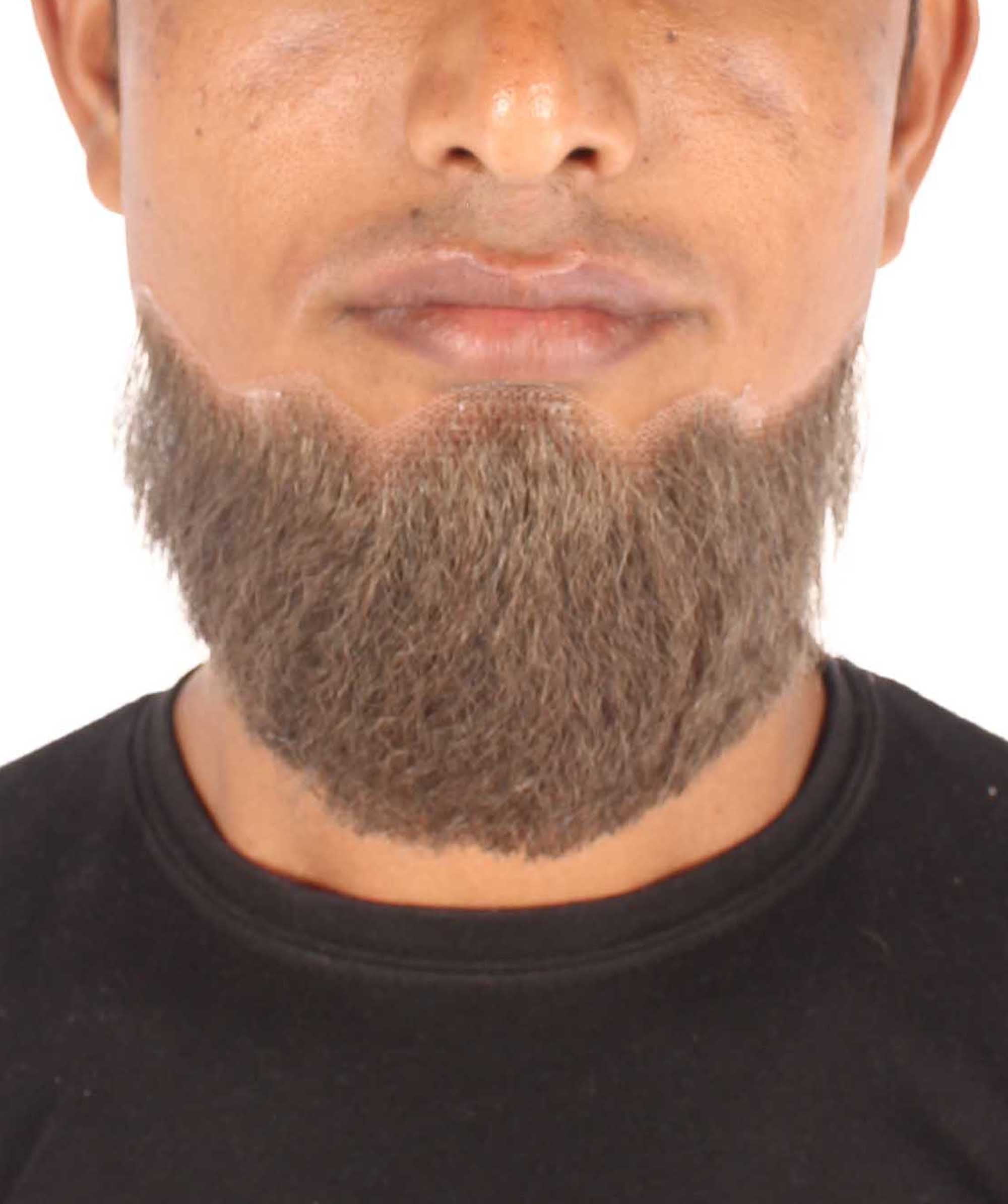 HPO Adult Men's Hollywoodian Synthetic Hair Beard, Brown - Walmart.com