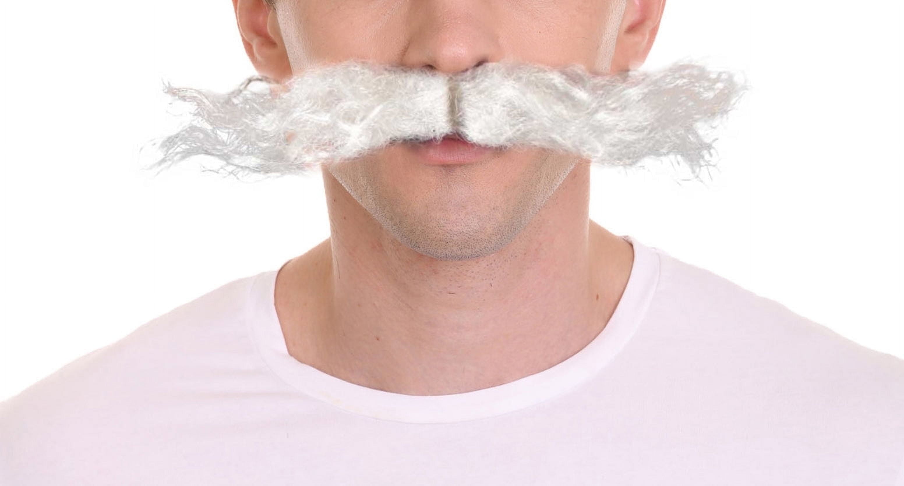 HPO Men's Sticky Mustaches for Adults, Doctor Supervillain Long Curly Fake Mustache-Gray ...