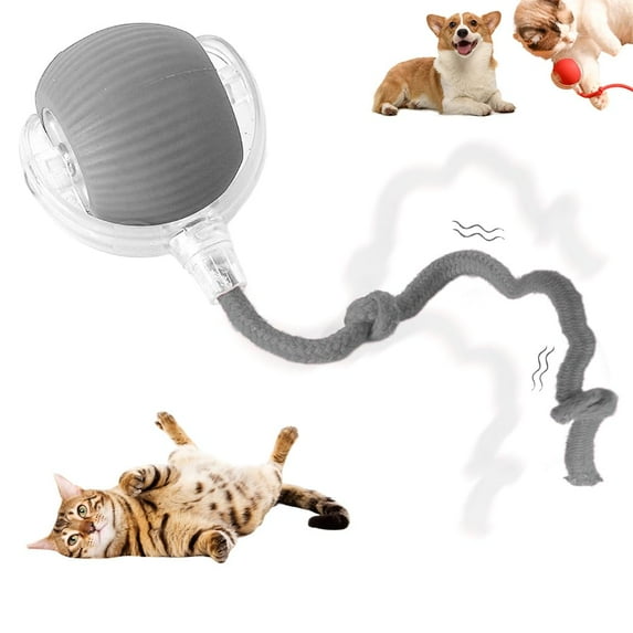 HPZZ Interactive Rolling Cat Dog Ball Toy, 2025 New Automatic ...