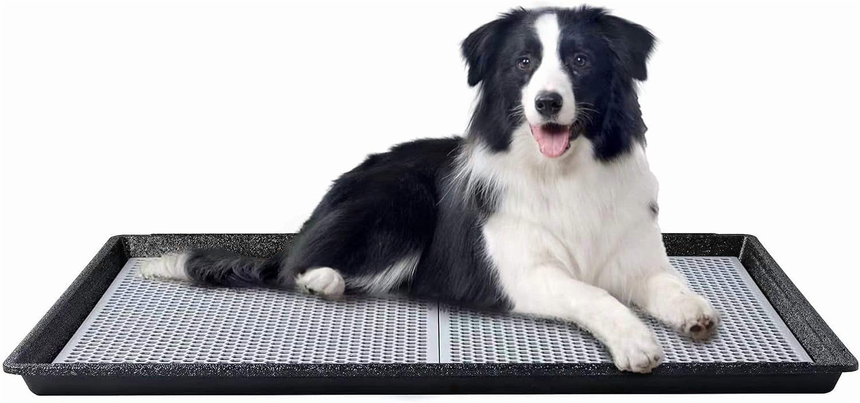 HQ4us Dog Pee Pad Holder Tray with Grate 34”×23”, Large Dog Litter Box ...