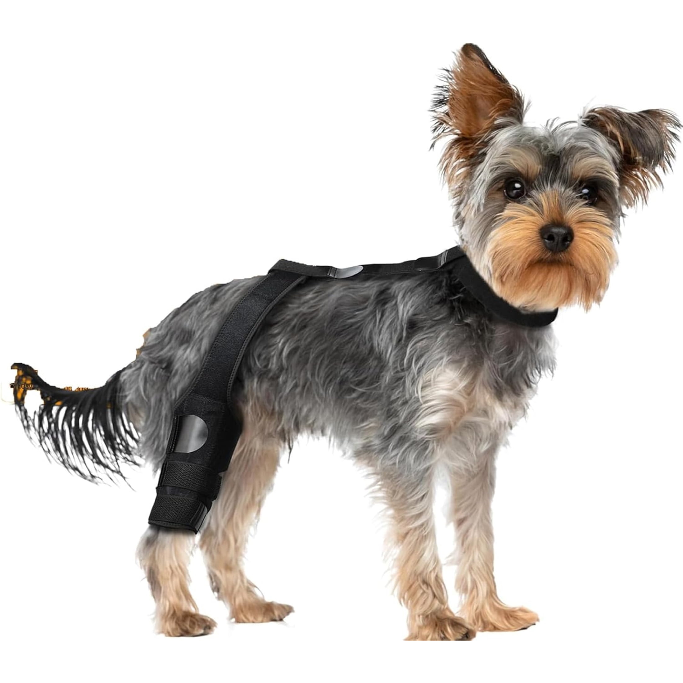 HQREA ACL Brace for Dogs Rear Leg Support, Dog Cone Alternative With ...