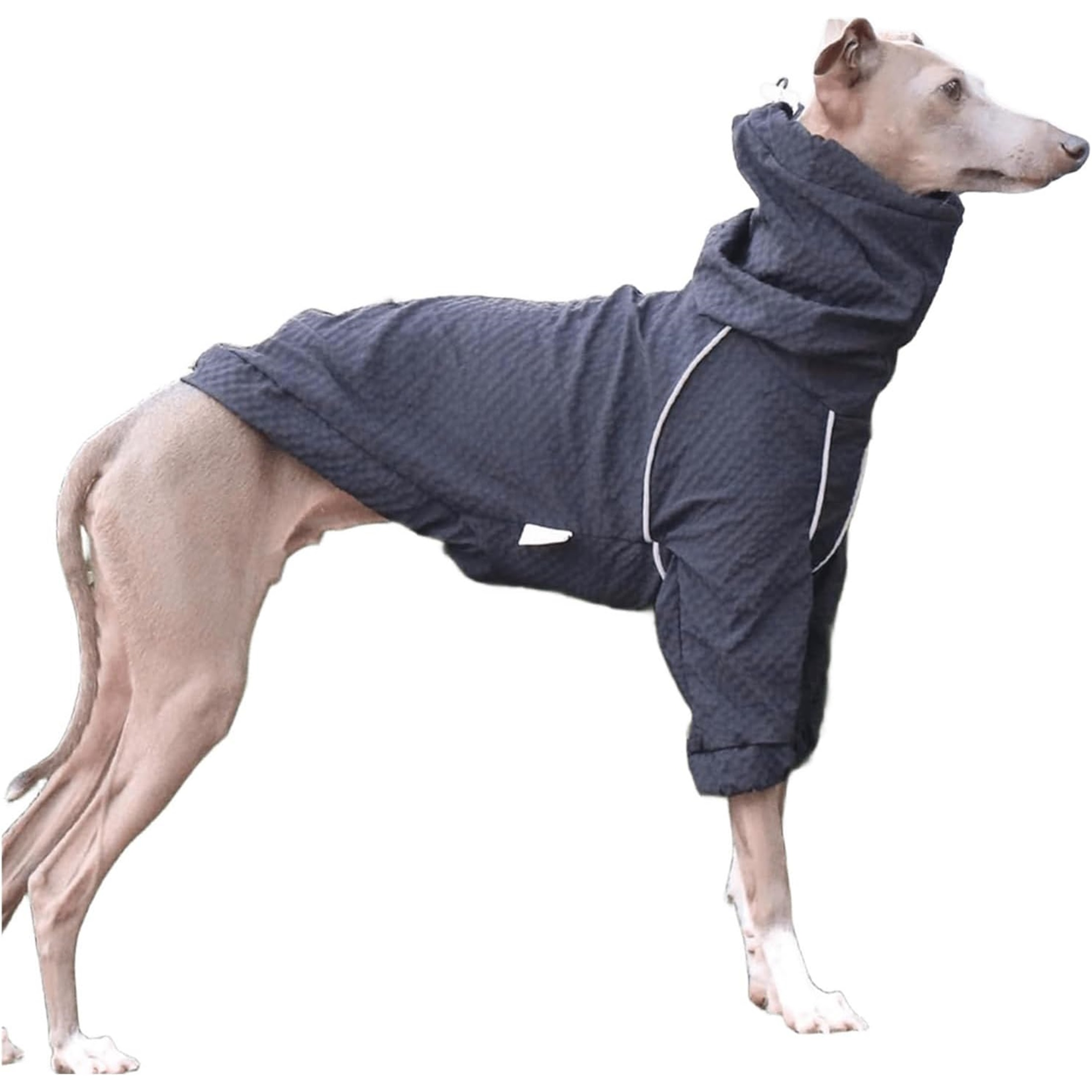 HQREA Greyhound Windbreaker Jacket Lightweight Dog Outdoor Jacket Coat ...