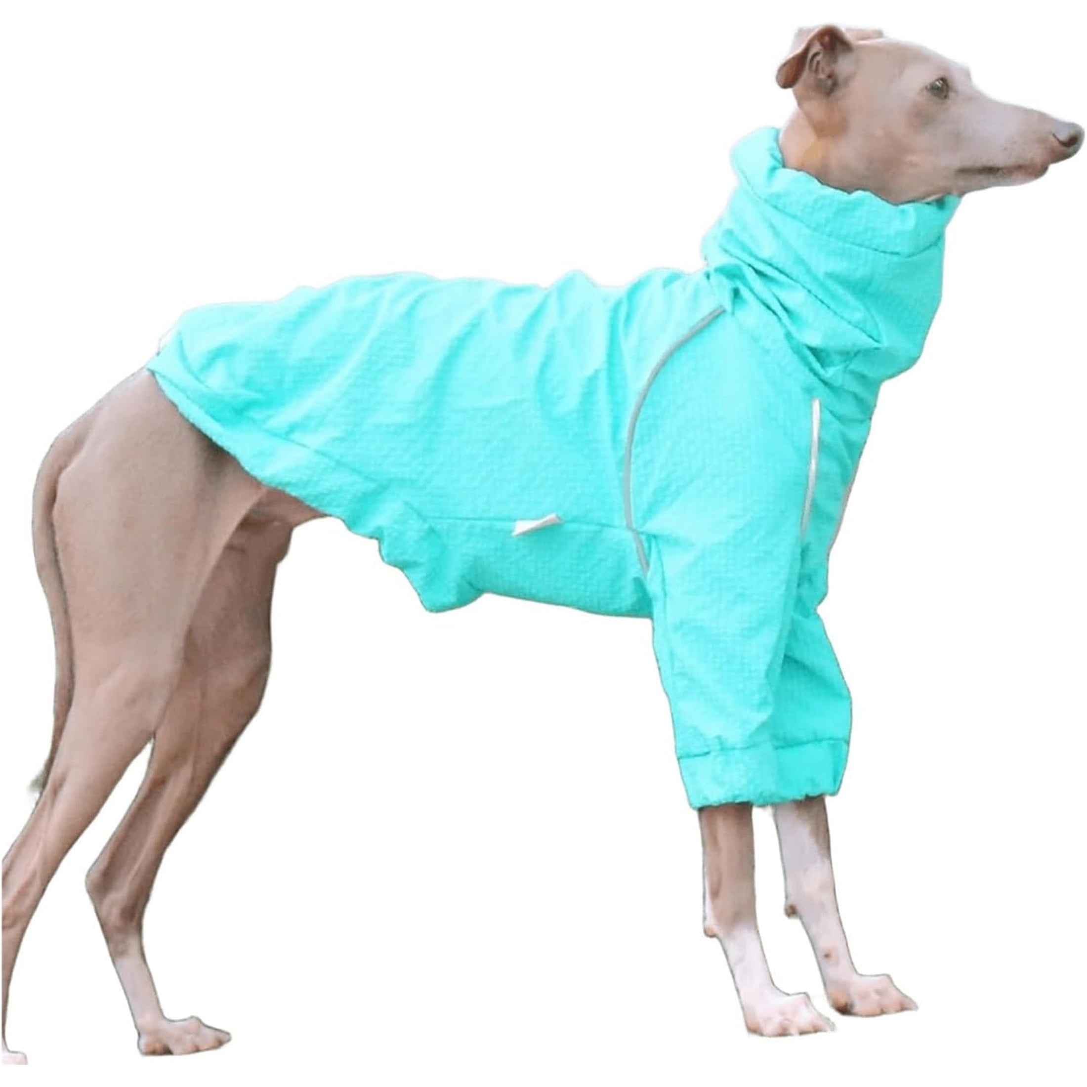 HQREA Greyhound Windbreaker Jacket Lightweight Dog Outdoor Jacket Coat ...
