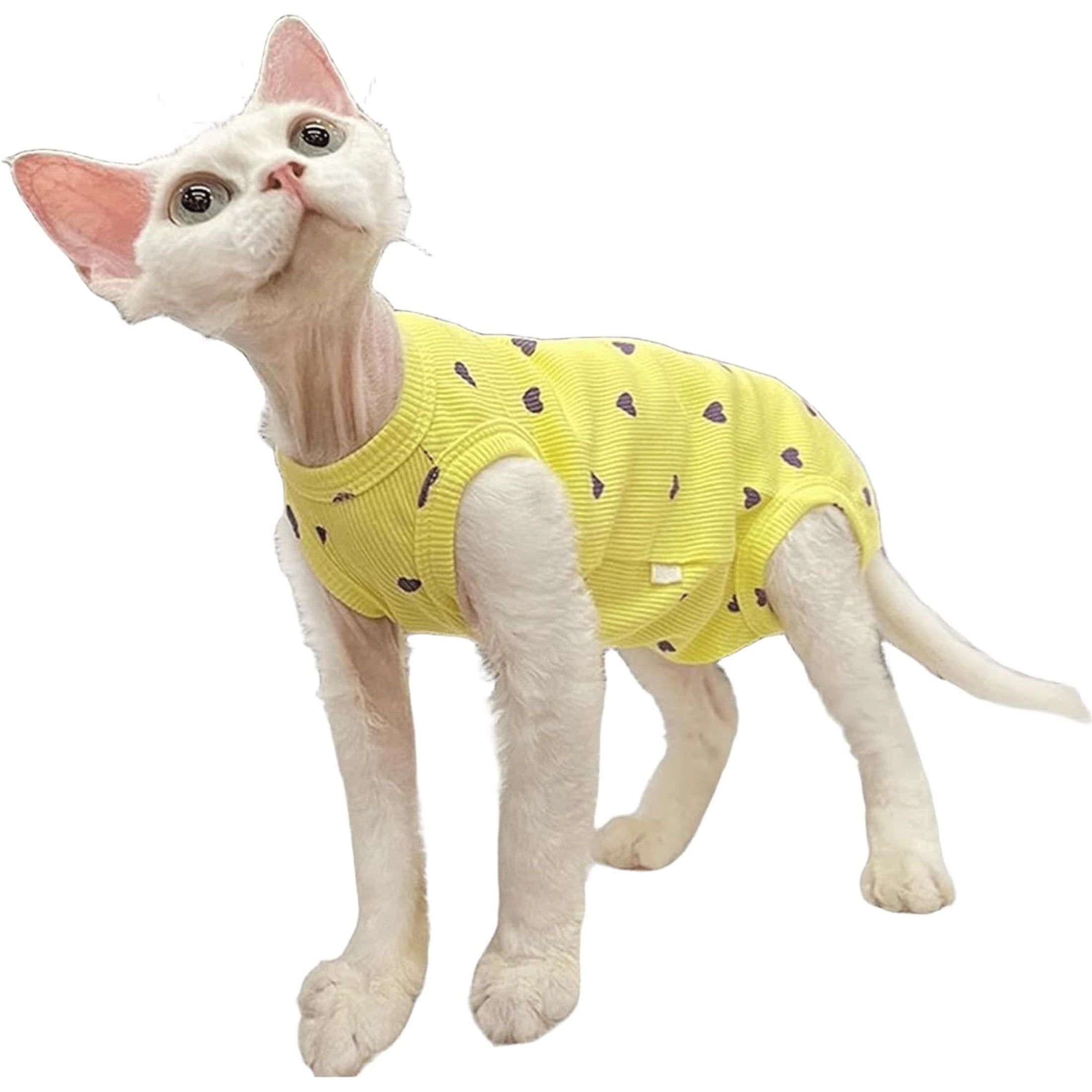 HQREA Hairless Cat Clothes Soft Cat Recovery Suit for Spay Surgical ...