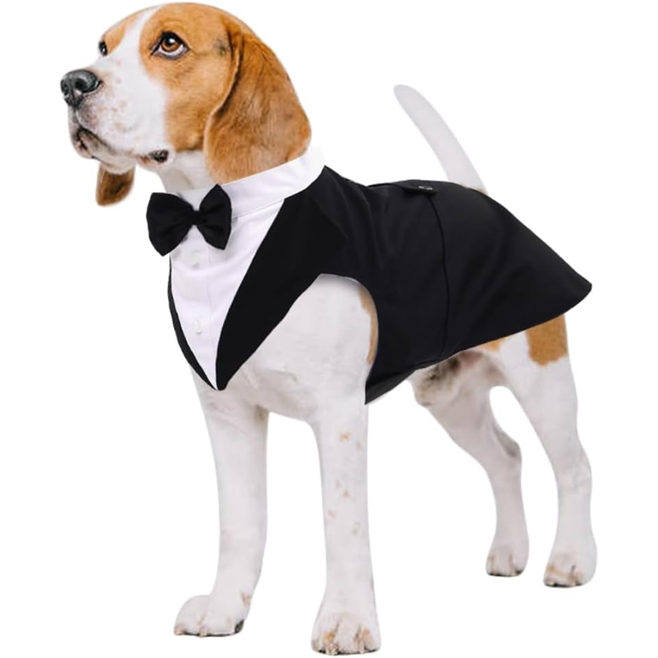 HQREA Large Medium Dog Tuxedo Suit Formal Pet Wedding Party Suit Puppy ...