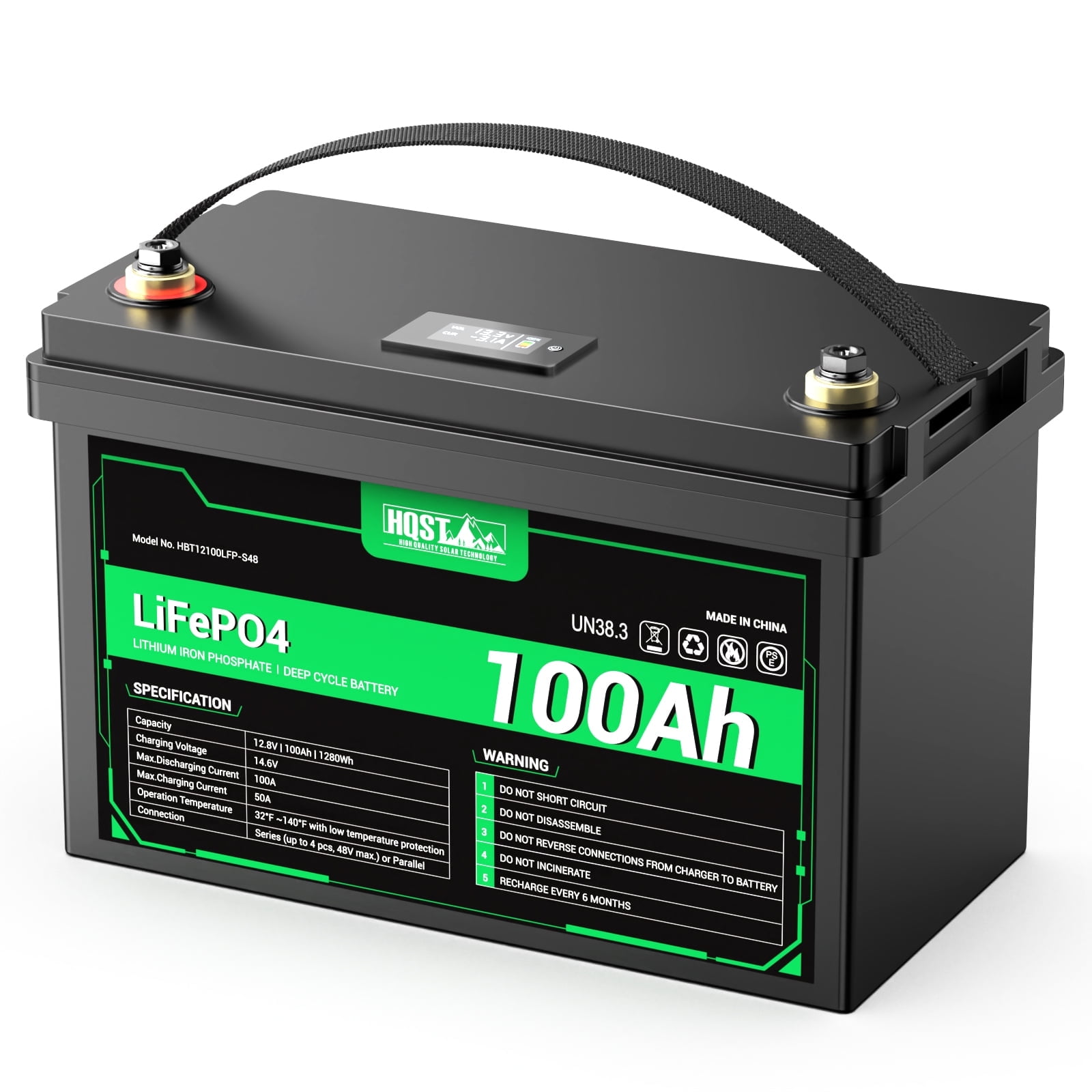 HQST 12 Volt 100Ah Lithium Iron Phosphate Battery with LED Meter ...