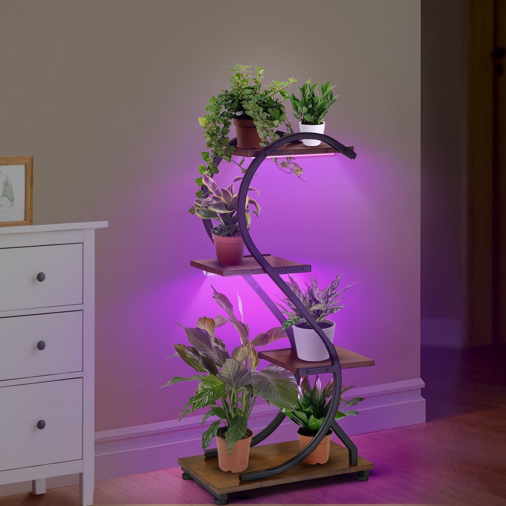 HRYGD Plant Stand with Grow Light Red Blue White Spectrum, 4 Tier 31 ...