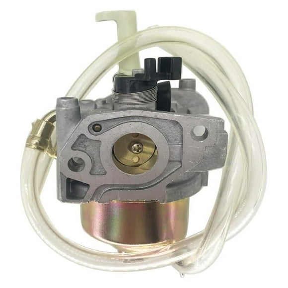 Ruixing Carburetor