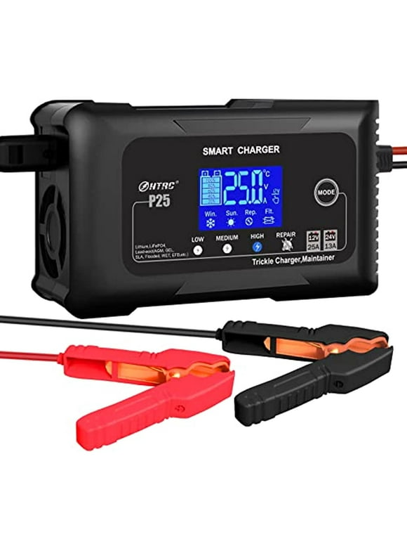 Car Battery Chargers in Car Battery Chargers and Jump Starters ...