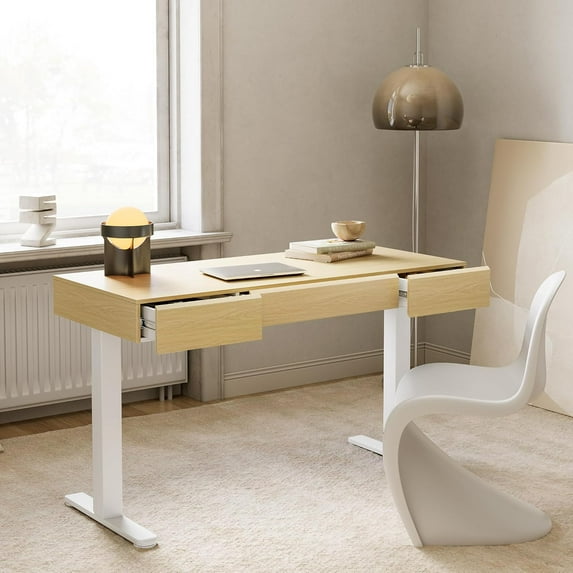 HUANUO 48 Inch Standing Desk with Drawers, Electric Adjustable Height ...