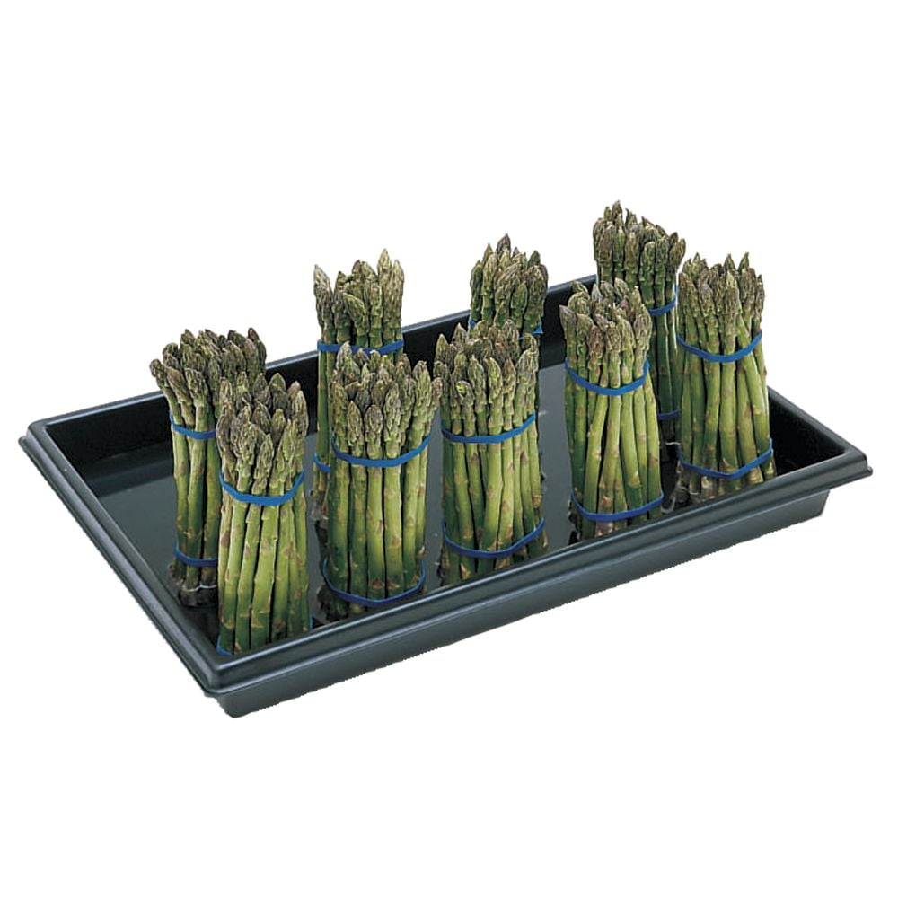 HUBERT Asparagus Display Black Plastic Produce - 23 1/2 L x 15 1/2 W x ...