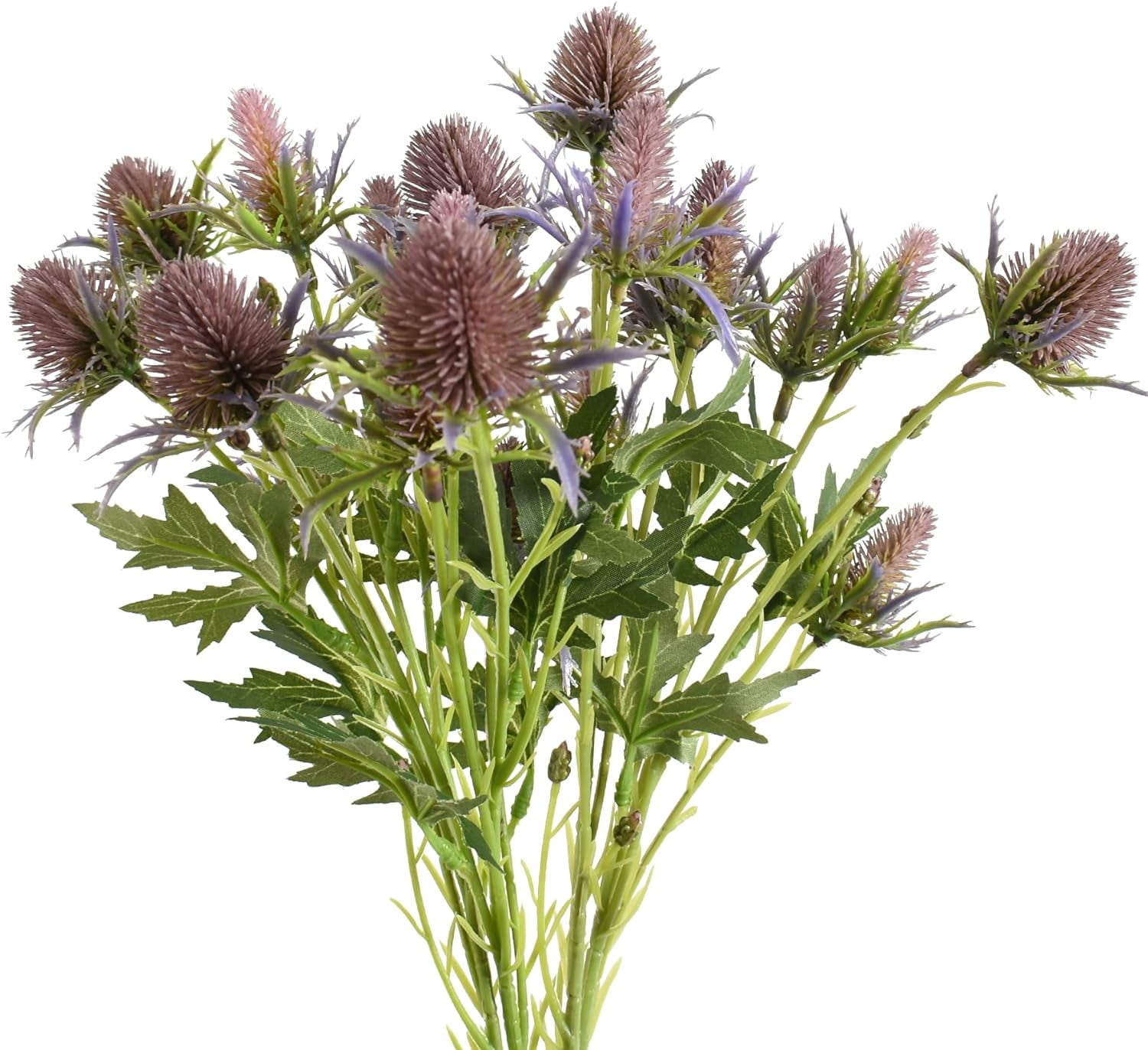 Thistle Purple Color