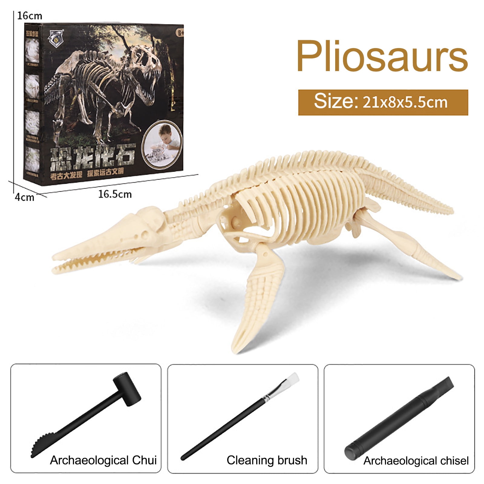 HUMJUSE Dinosaur Fossil Dig Kit for Kids, Realistic Toys Dinosaur ...
