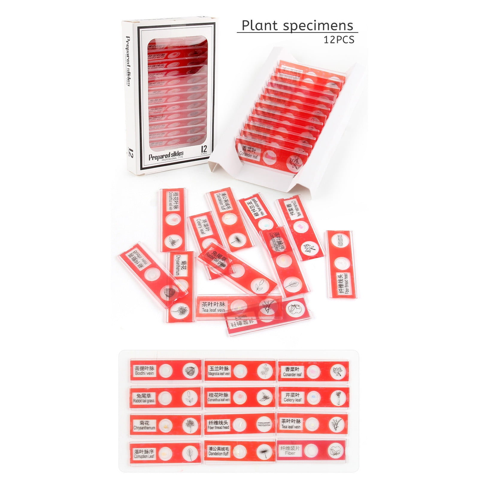 HUMJUSE Microscope Slides with Specimens for Kids Adults, Prepared ...