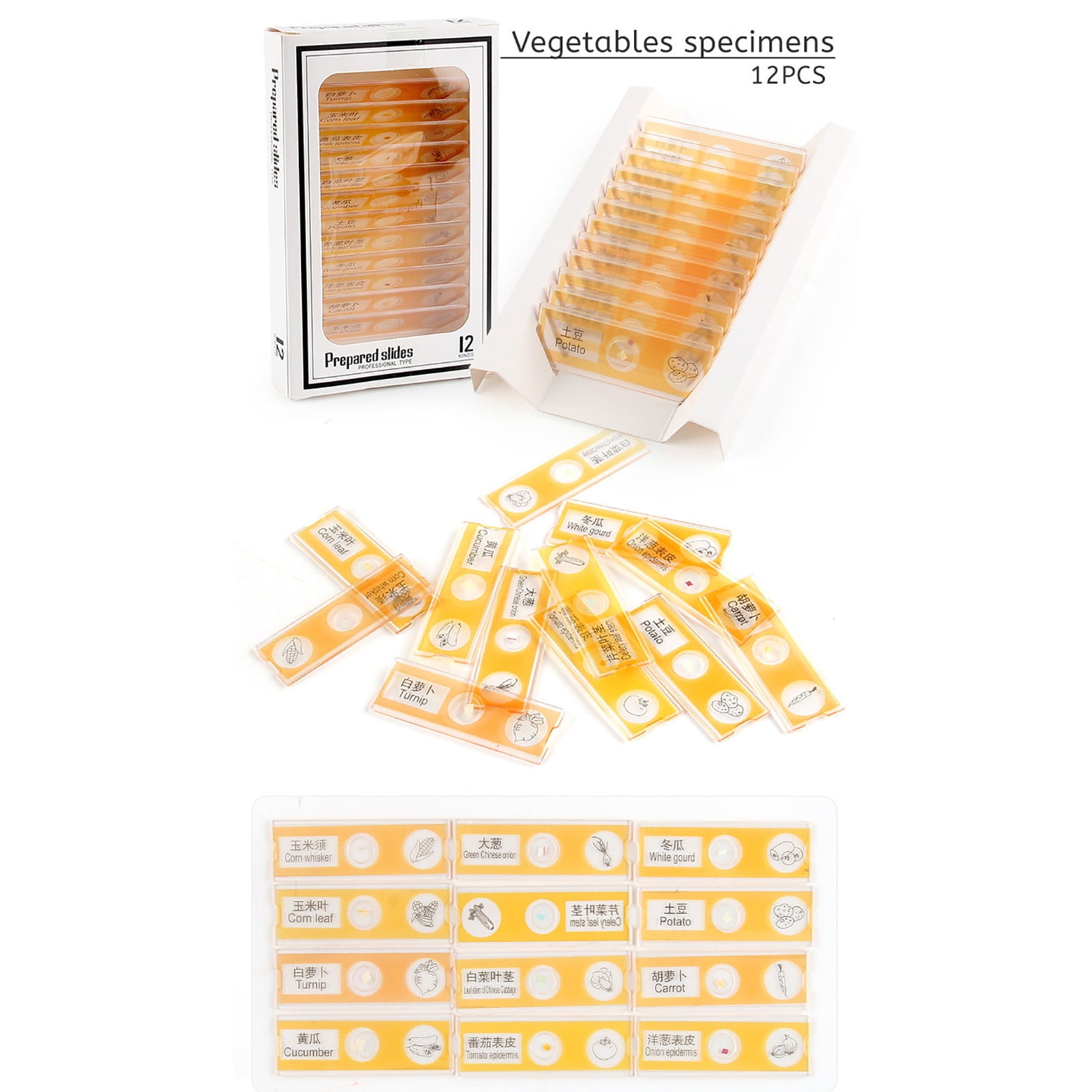 HUMJUSE Microscope Slides with Specimens for Kids Adults, Prepared ...