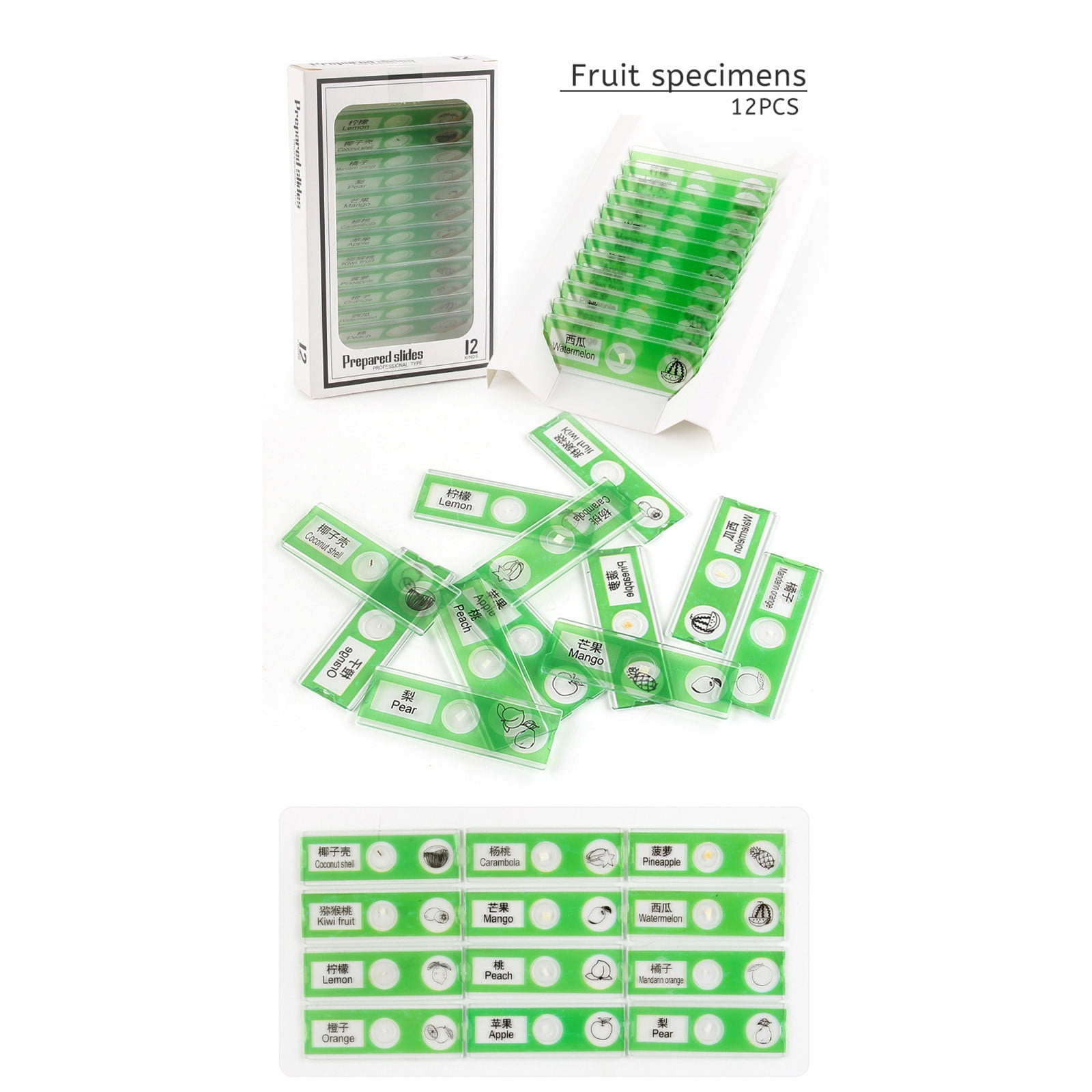 HUMJUSE Microscope Slides with Specimens for Kids Adults, Prepared ...