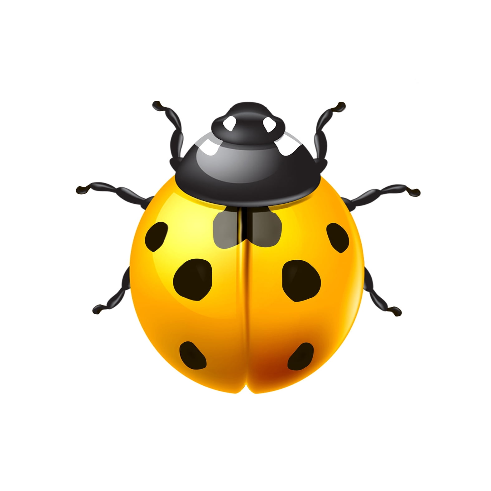 HUONA Ladybug Wall Decoration Iron Ladybug Hanging Decors Metal ...