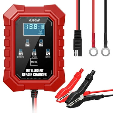 EverStart 3A Portable Smart Battery Charger and Maintainer with Digital ...