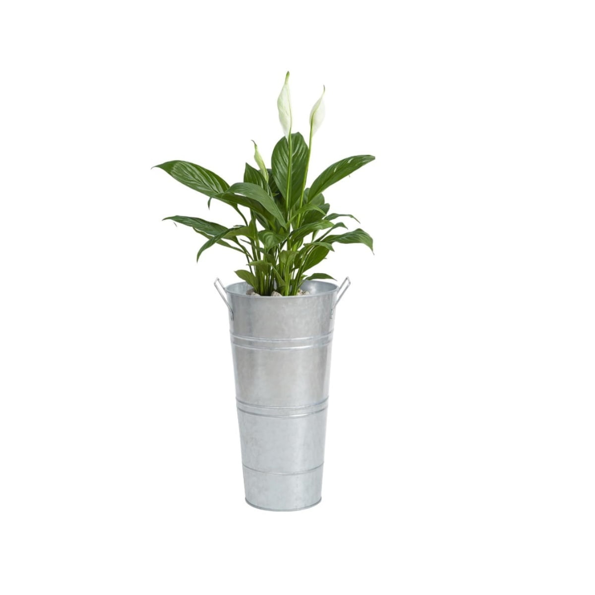 HXRH Farmhouse French Flower Bucket Vases,Galvanized Metal Tin Bucket ...