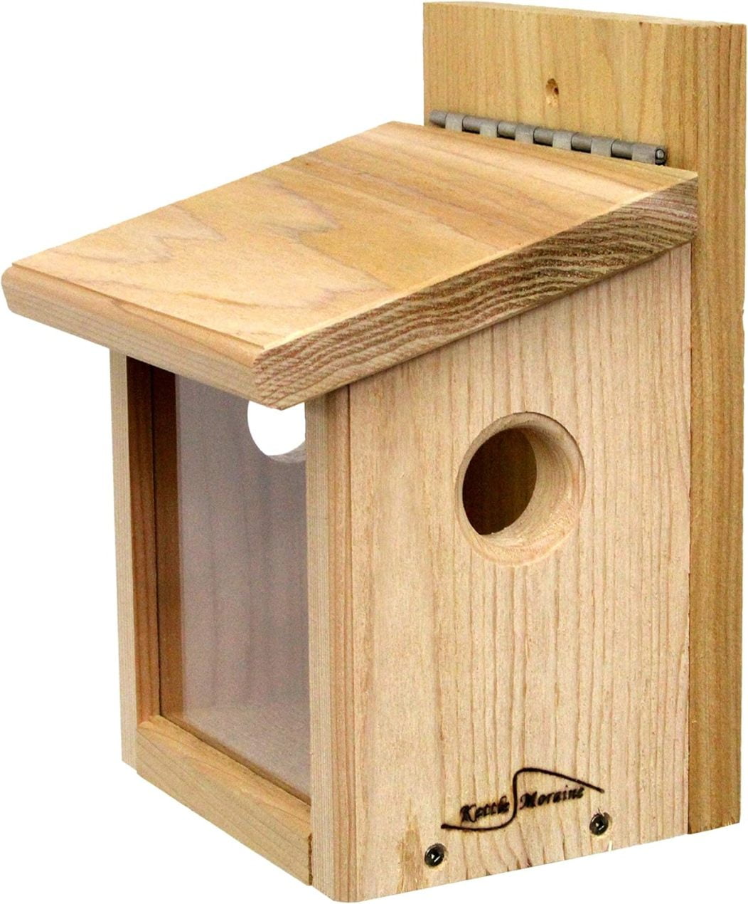 HXSP Cedar Post Mount Bluebird Mealworm Feeder - Walmart.com