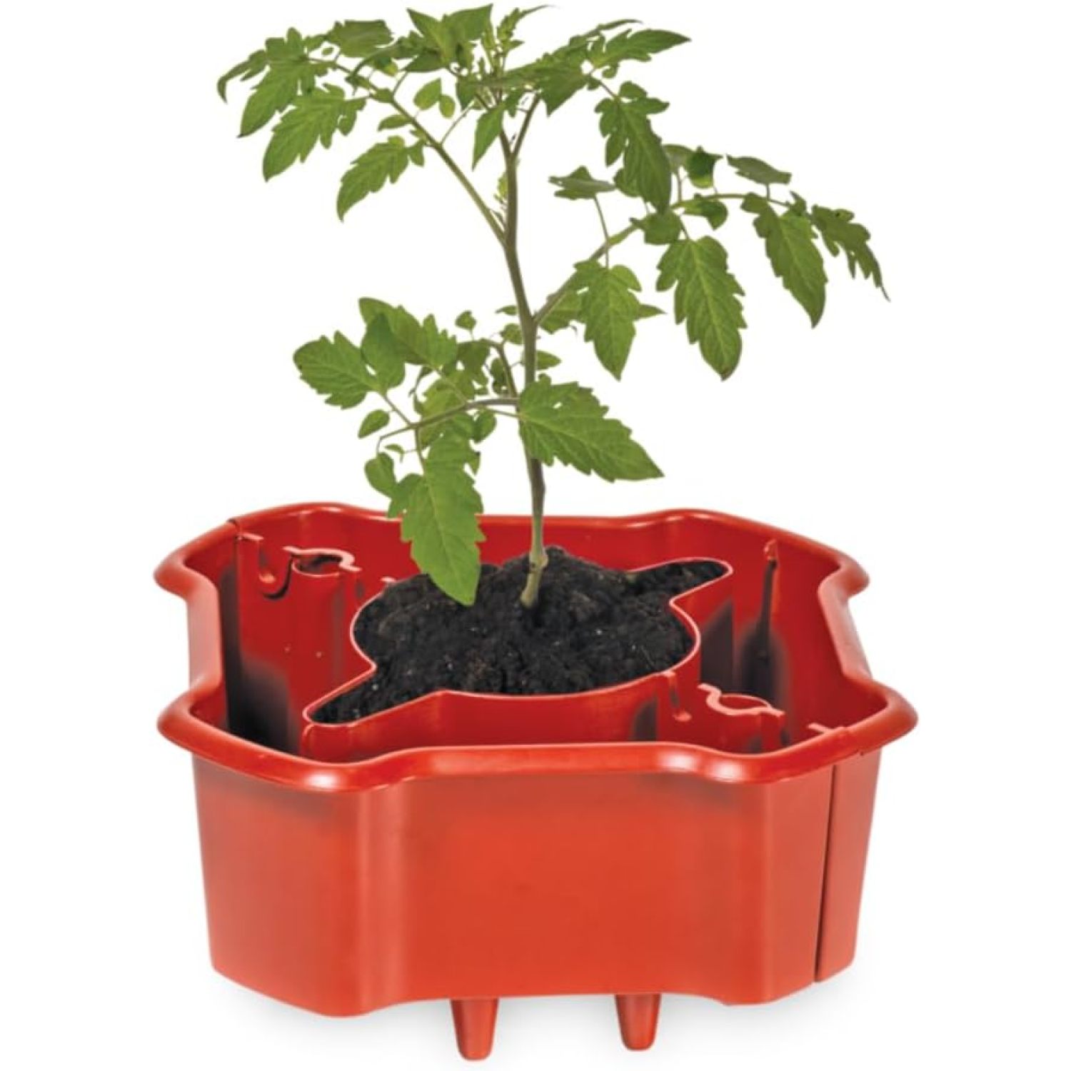 HXSP Deluxe Tomato Halo | Efficient Tomato Planter System with 2-Gallon ...