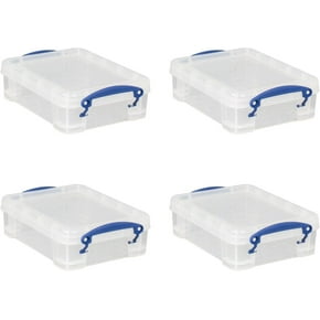 Snap Lock Containers