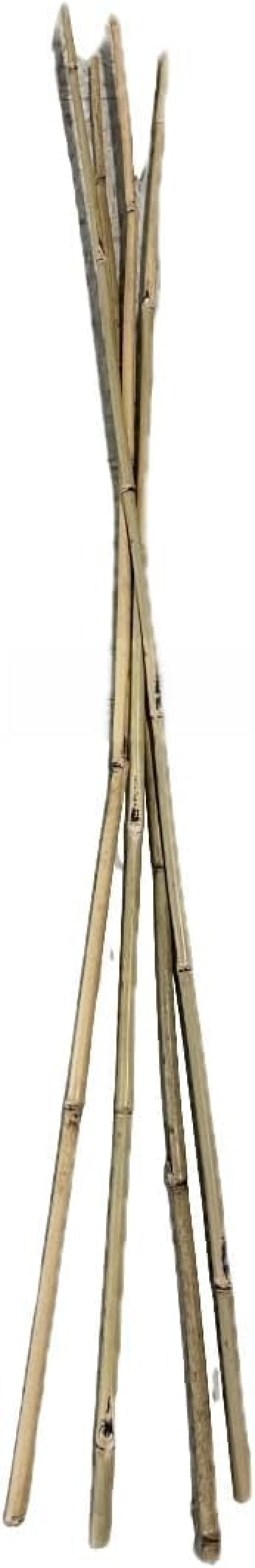 HYFF - Bamboo Garden Stakes - Bambo Sticks, Bamboo Plant Stakes for ...