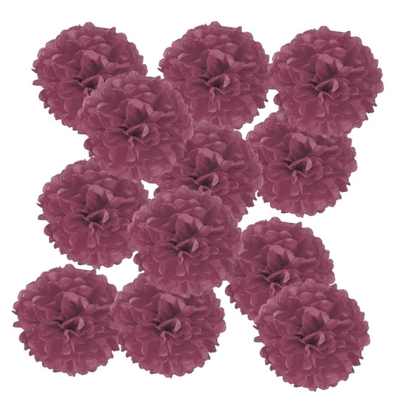 HYKE 14inch Tissue Paper Pom Poms, 12PCS Pom Poms Paper Tissue Paper ...