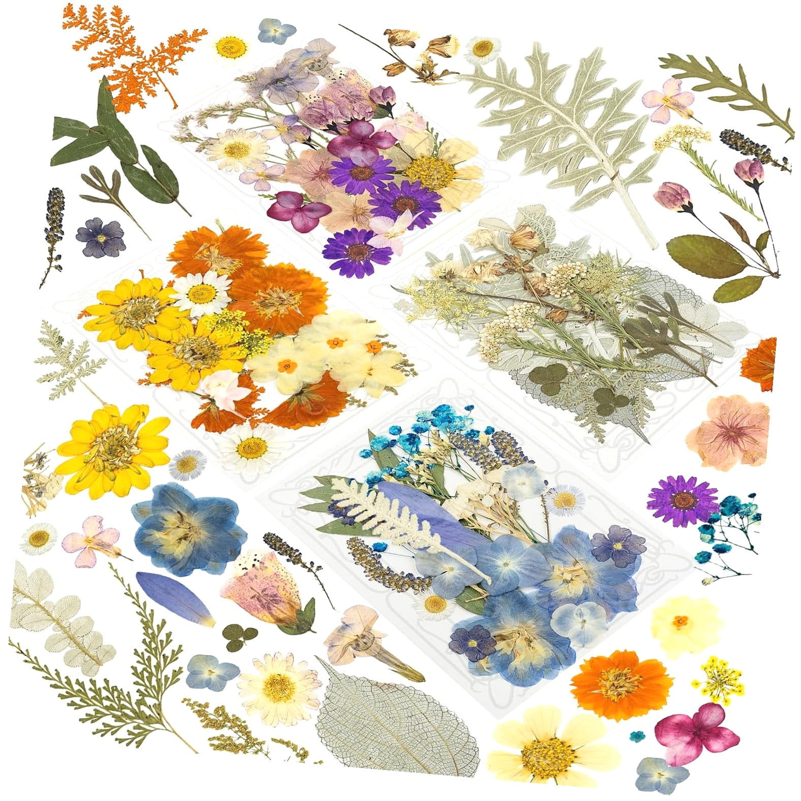 HYKE 204 Pcs Dried Pressed for Crafts, Pressed and Leaves Kit Stickers ...