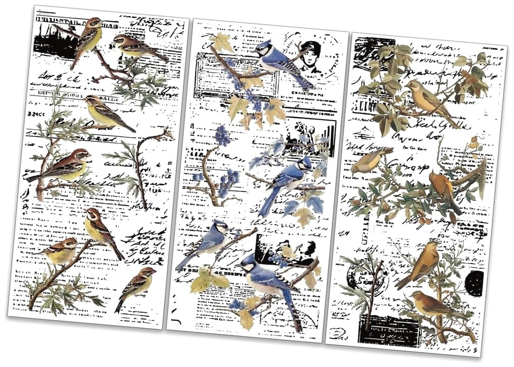 HYKE 3pcs/Set Bird Stamp Transfers for Furniture and Crafts 6x12 Inch ...