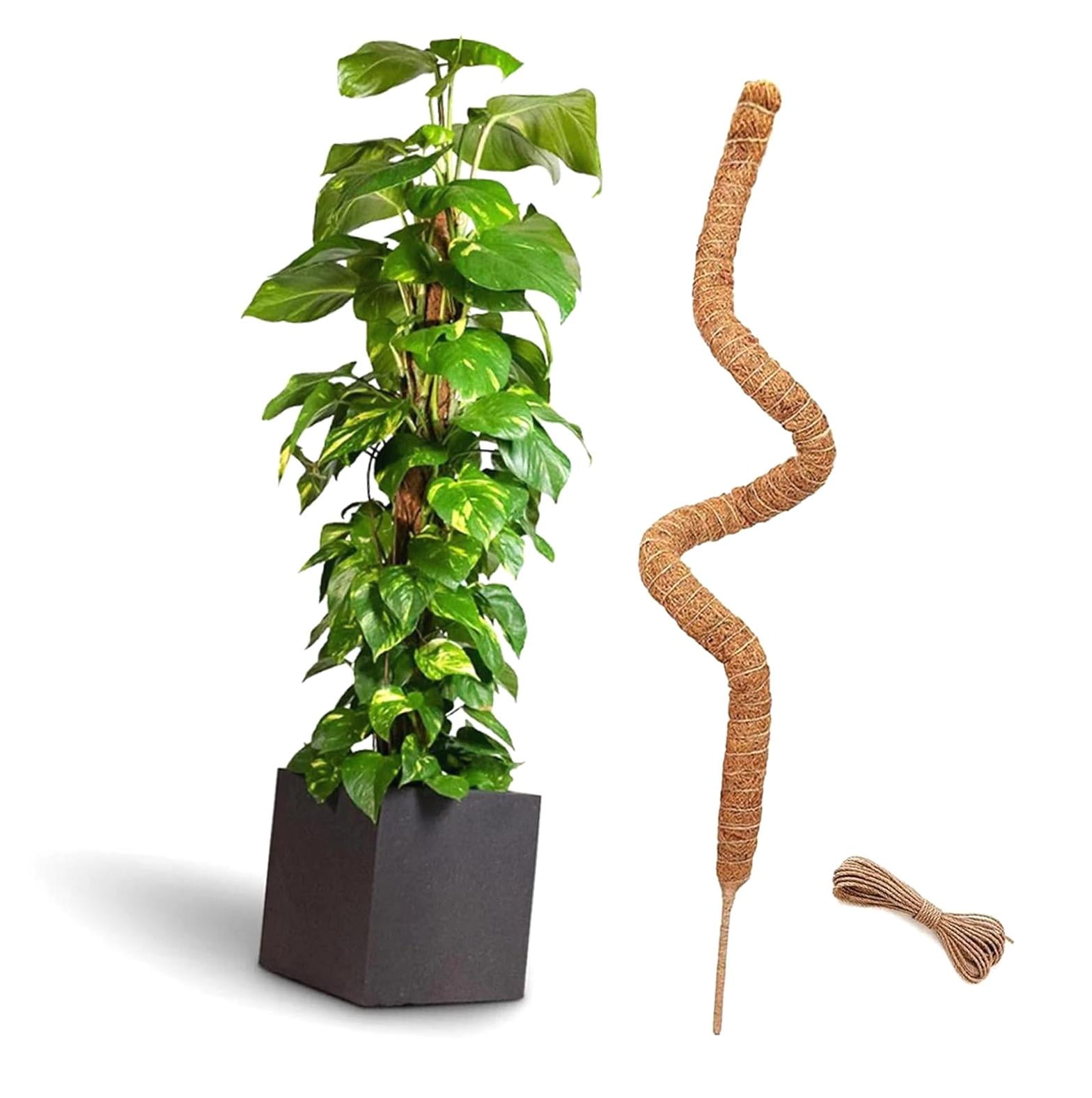 HYKE 48 Inch Flexible Moss Pole for Plants Including Monstera, Coconut ...