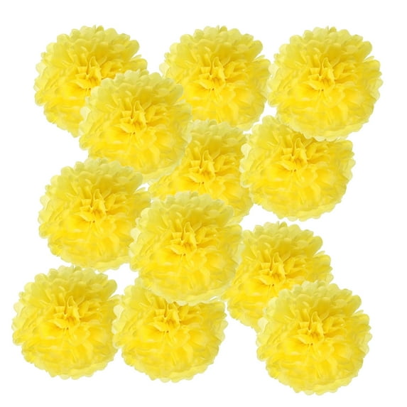 HYKE 4inch Tissue Paper Pom Poms, 12PCS Pom Poms Paper Tissue Paper for ...