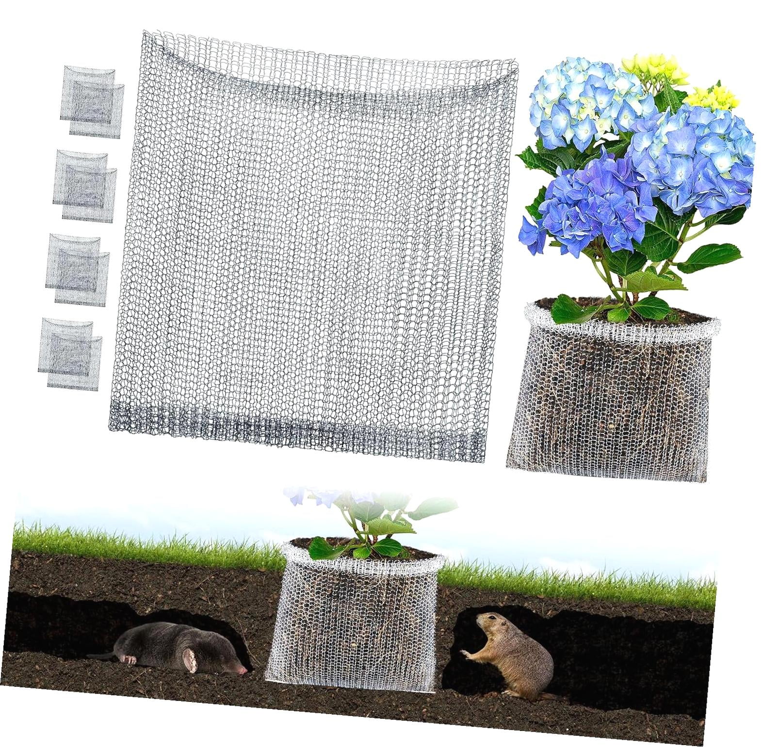 HYKE 5 Gallon Plant Root Protector for Gopher Voles Moles, 8 Pack Steel ...