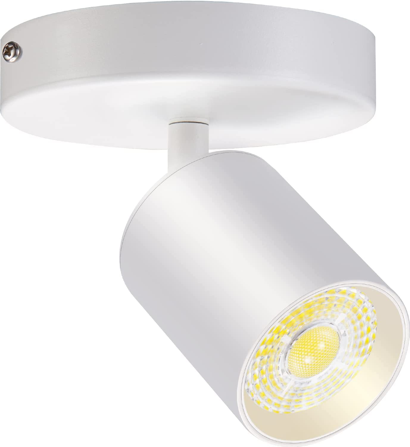 HYKE Flush Mount LED Ceiling light Dimmable Adjustable light ...