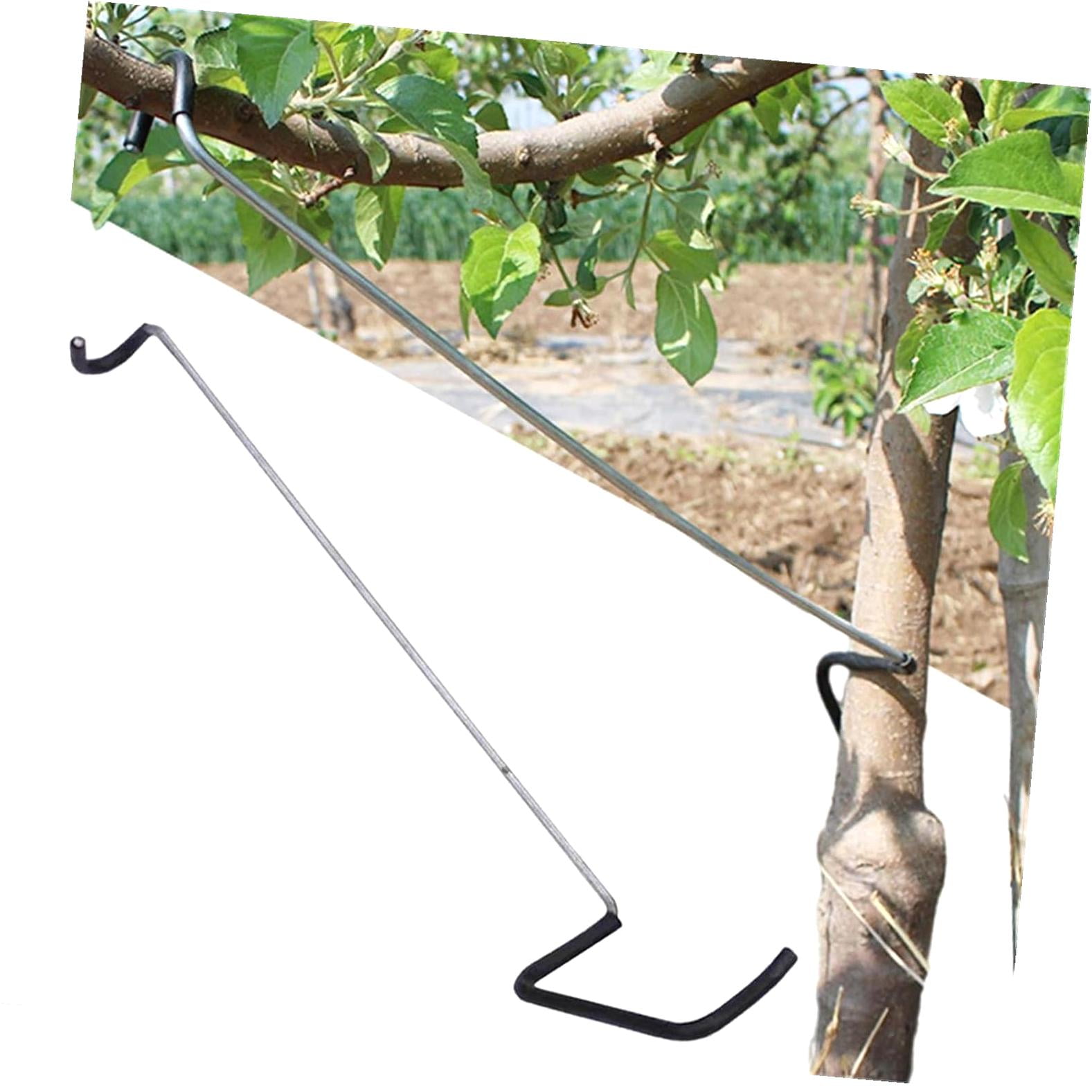HYKE Fruit Tree Limb Spreader 10pcs,14inch Branch Puller,New Fruit ...