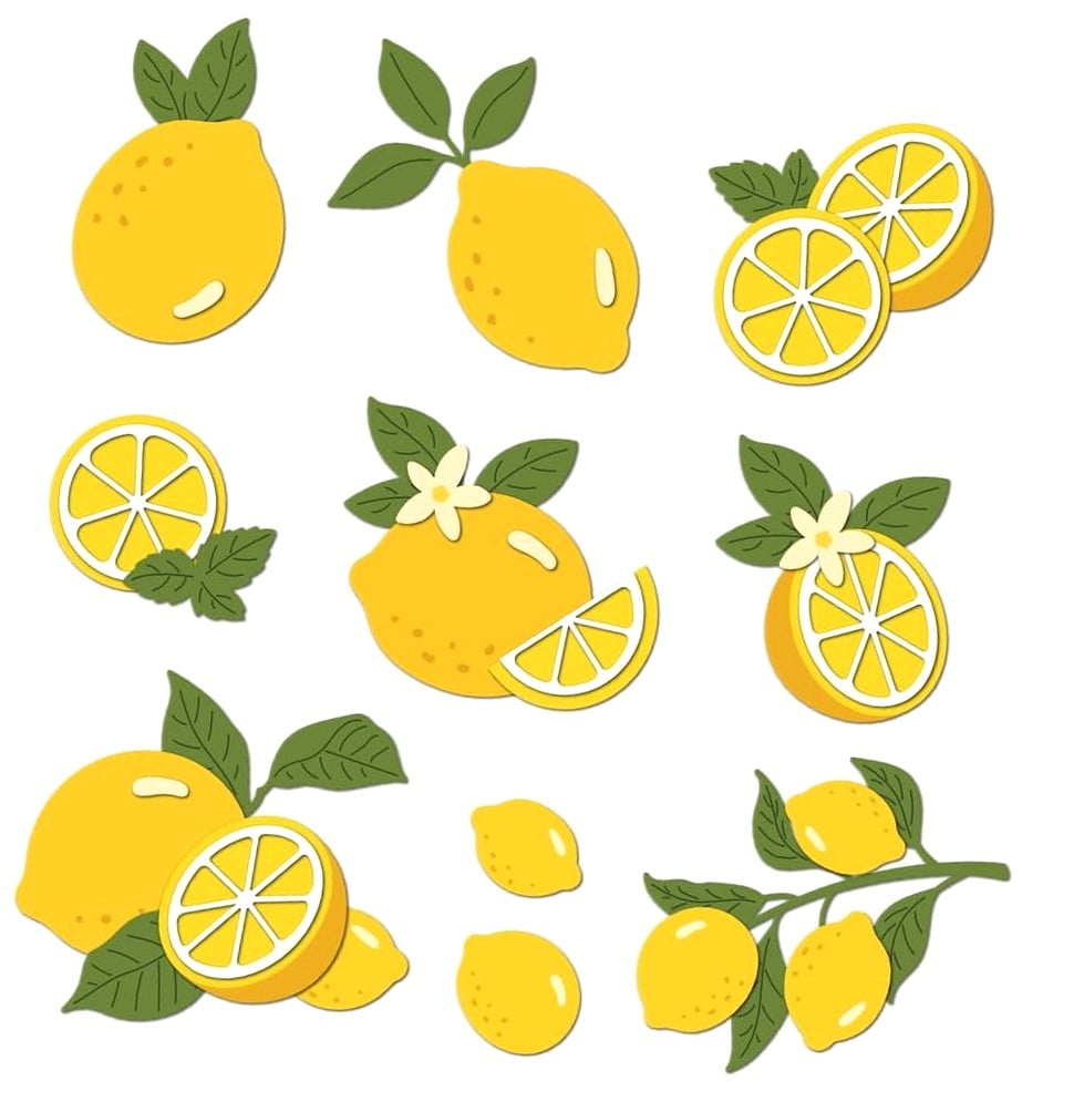 HYKE Lemon Fruit Card Making Die Stencil Carbon Steel Die Cuts Card ...