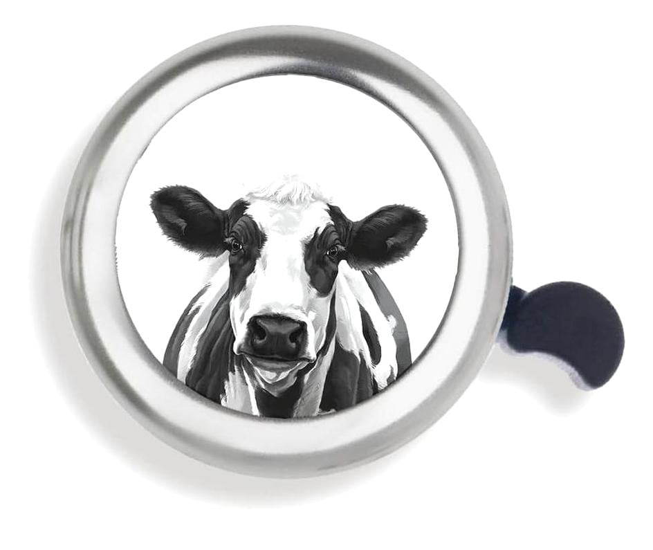 HYKE Silver Aluminum Round Bicycle , Classic Design, Suitable for ...