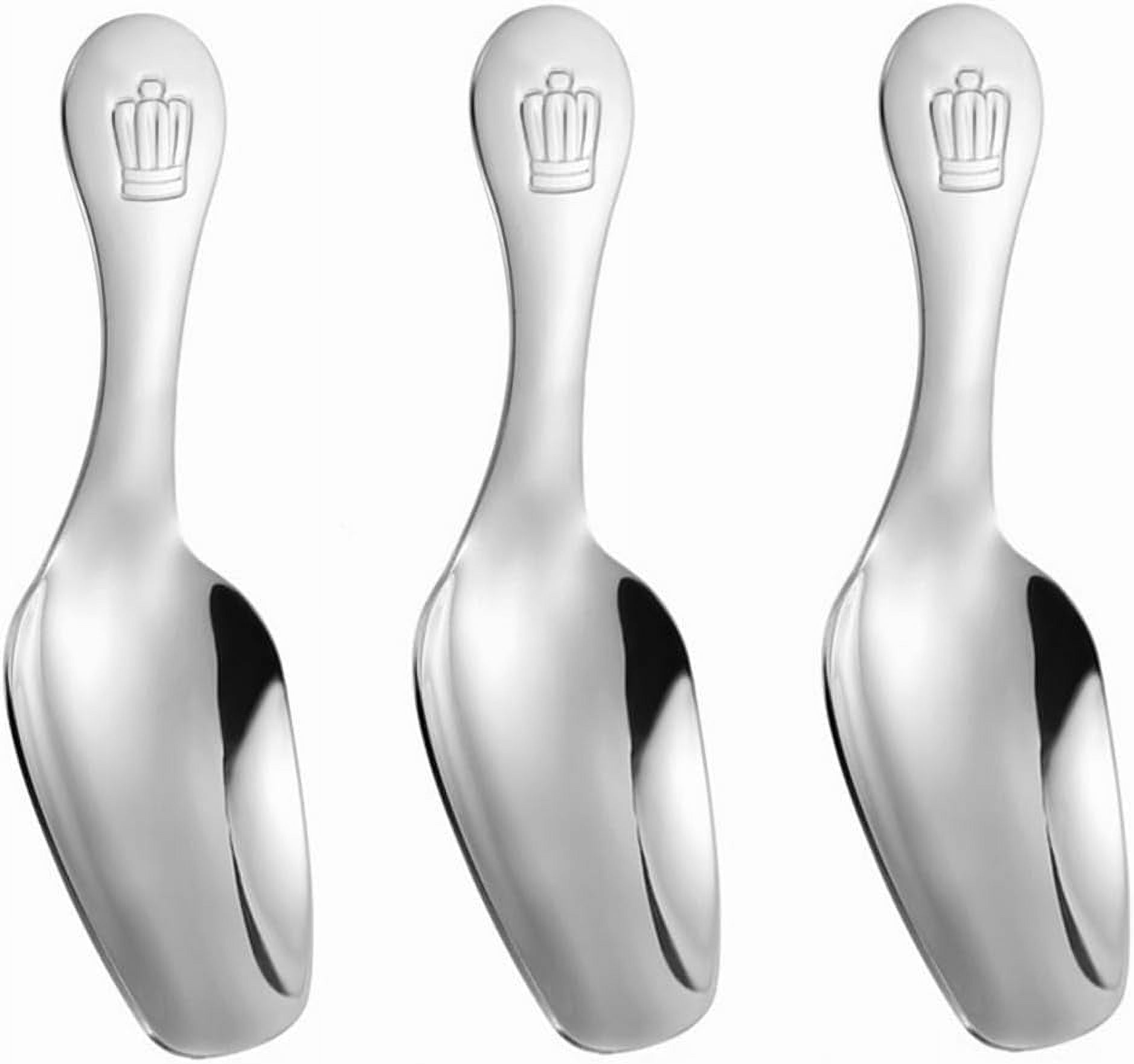 HYKE Stainless Steel Mini Scoop for Canisters with Short Handle, Silver ...