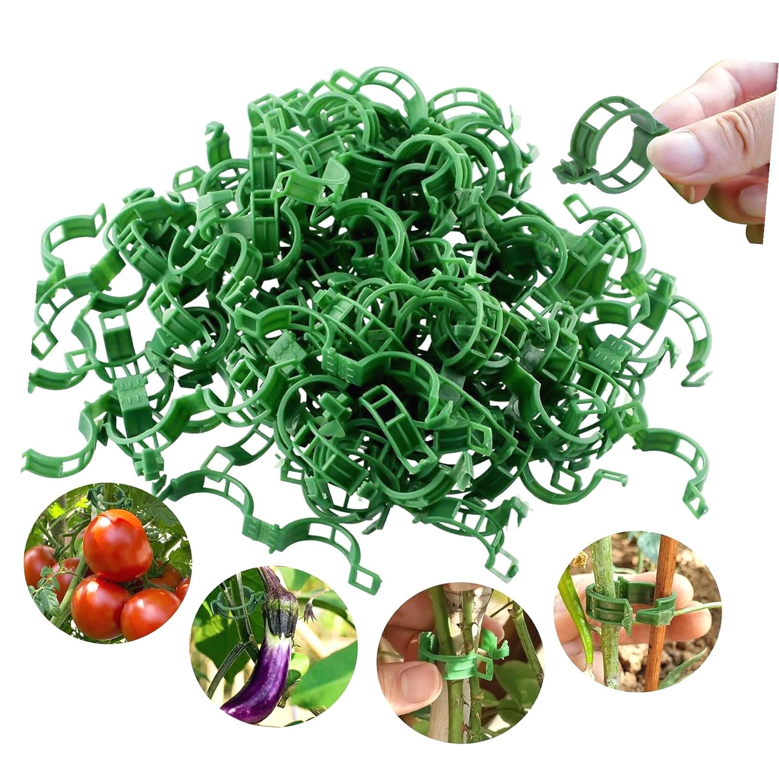 HYKE Tomato Clips for Climbing Plants, Enhanced Secure Plastic Plant ...