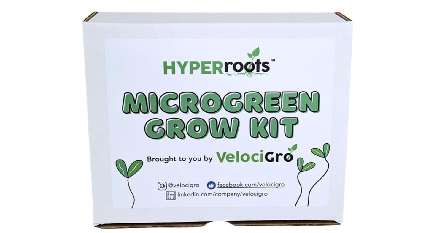 HYPERroots Microgreen Growing Kit for Kids AIS1 with 4 Types of Seeds ...