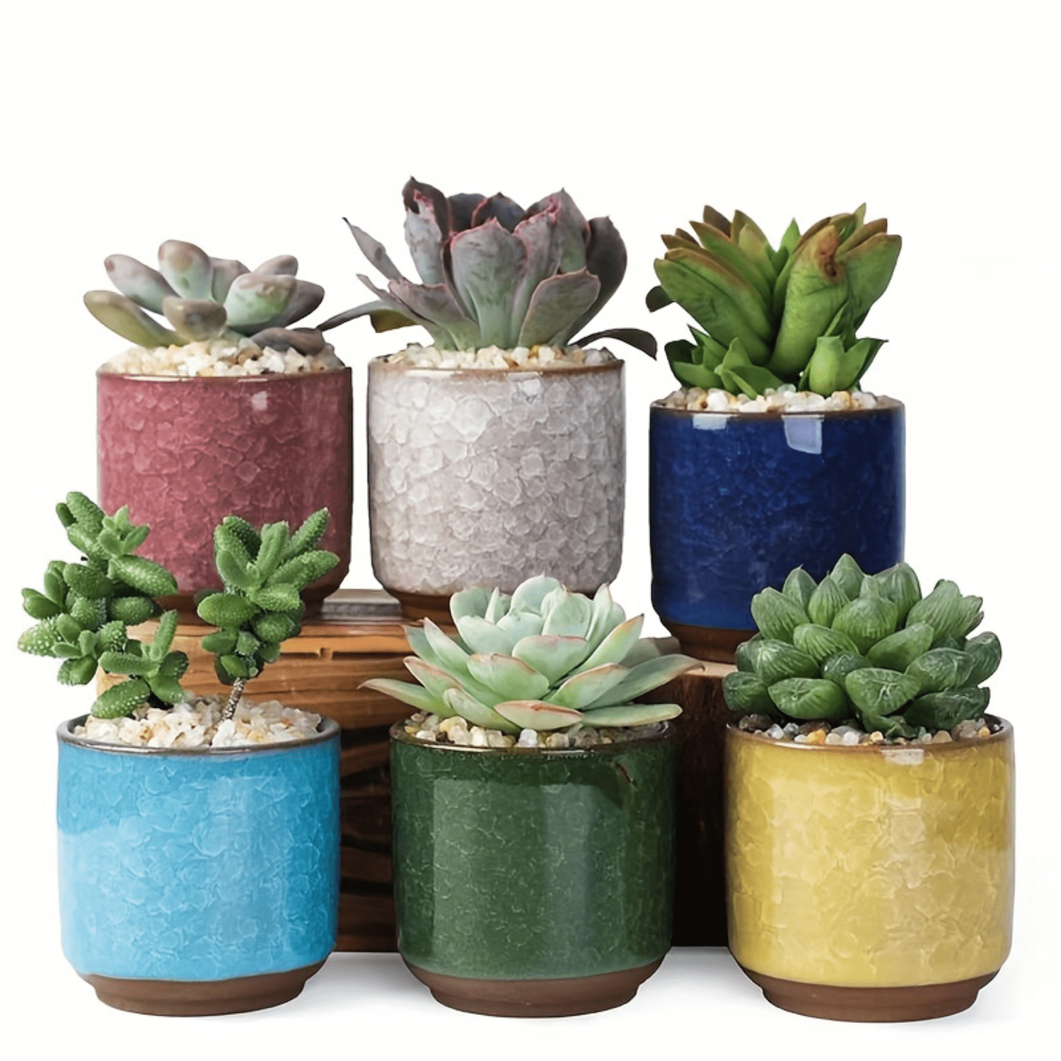 HYYANGUWENTI Set of 6 Creative Mini Green Plant Pots with Beautiful ...